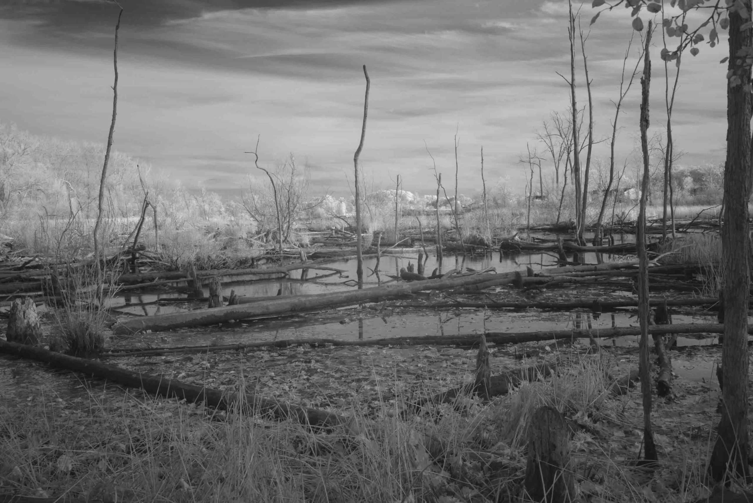 Open Concept - Decode Gallery