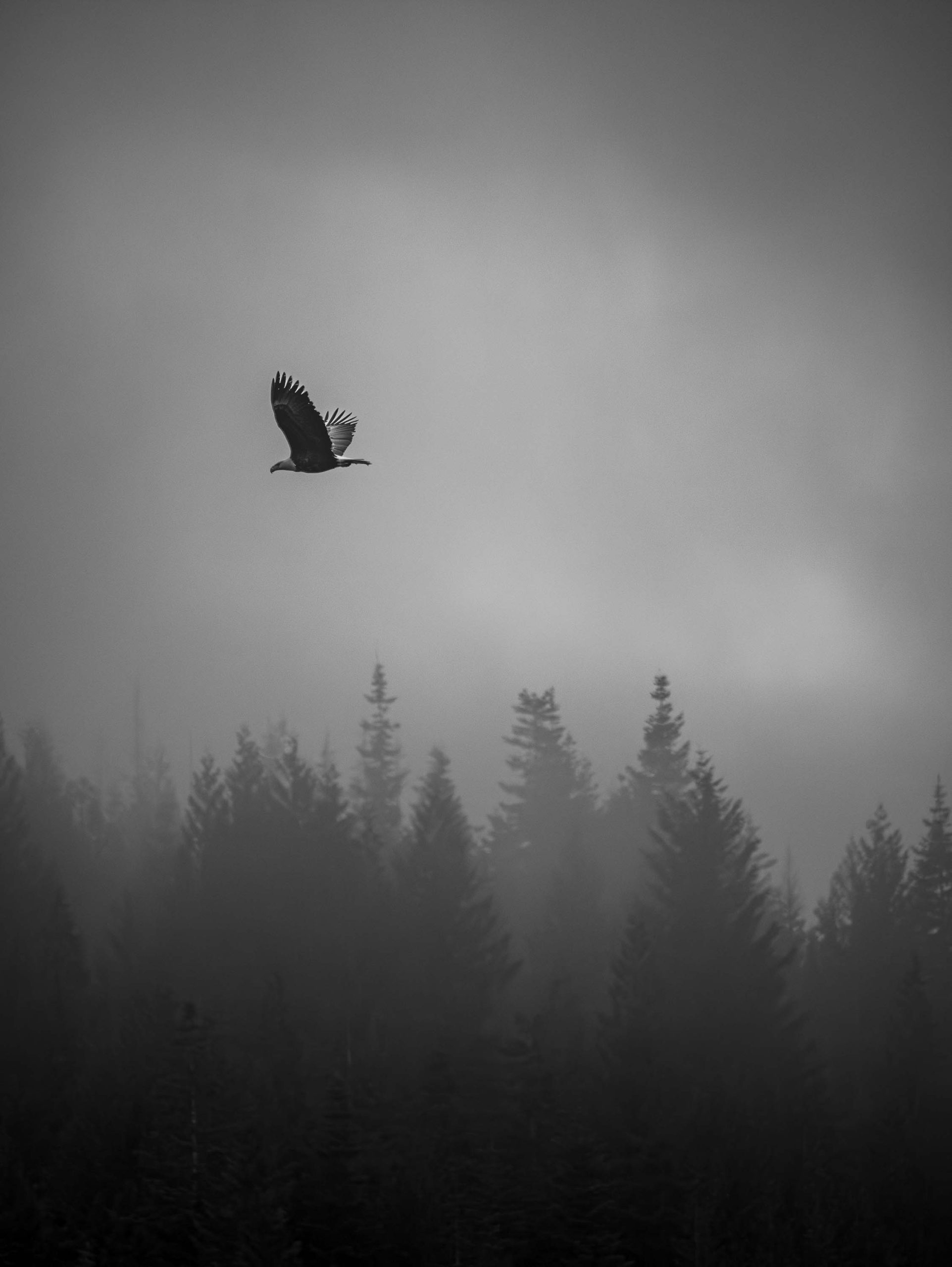 Open Concept - Decode Gallery