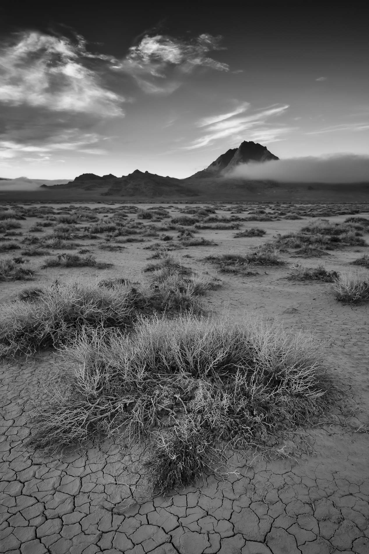 Open Concept - Decode Gallery