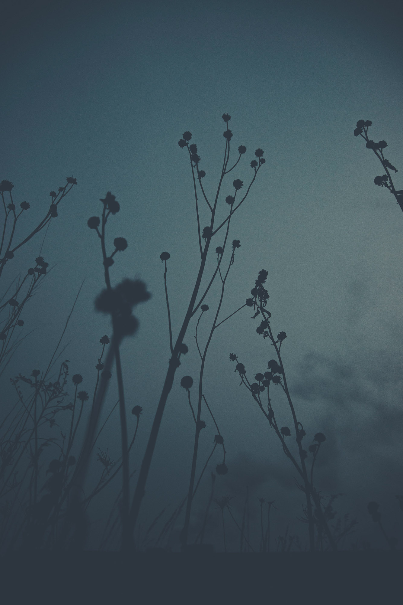 Color - Decode Gallery