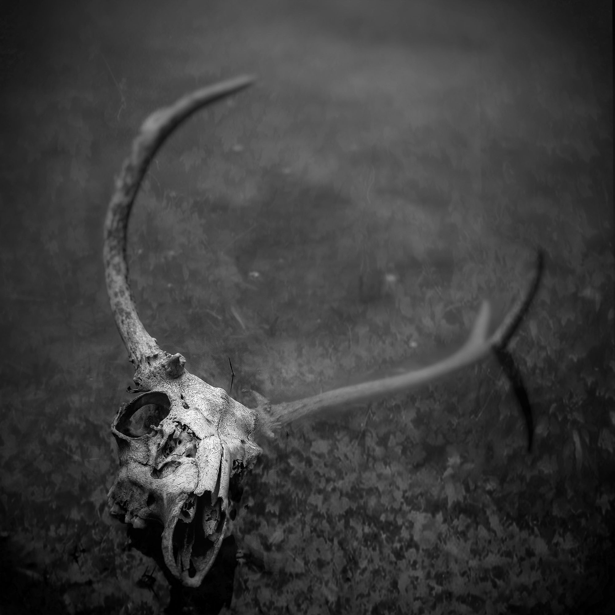 Square IV - Decode Gallery