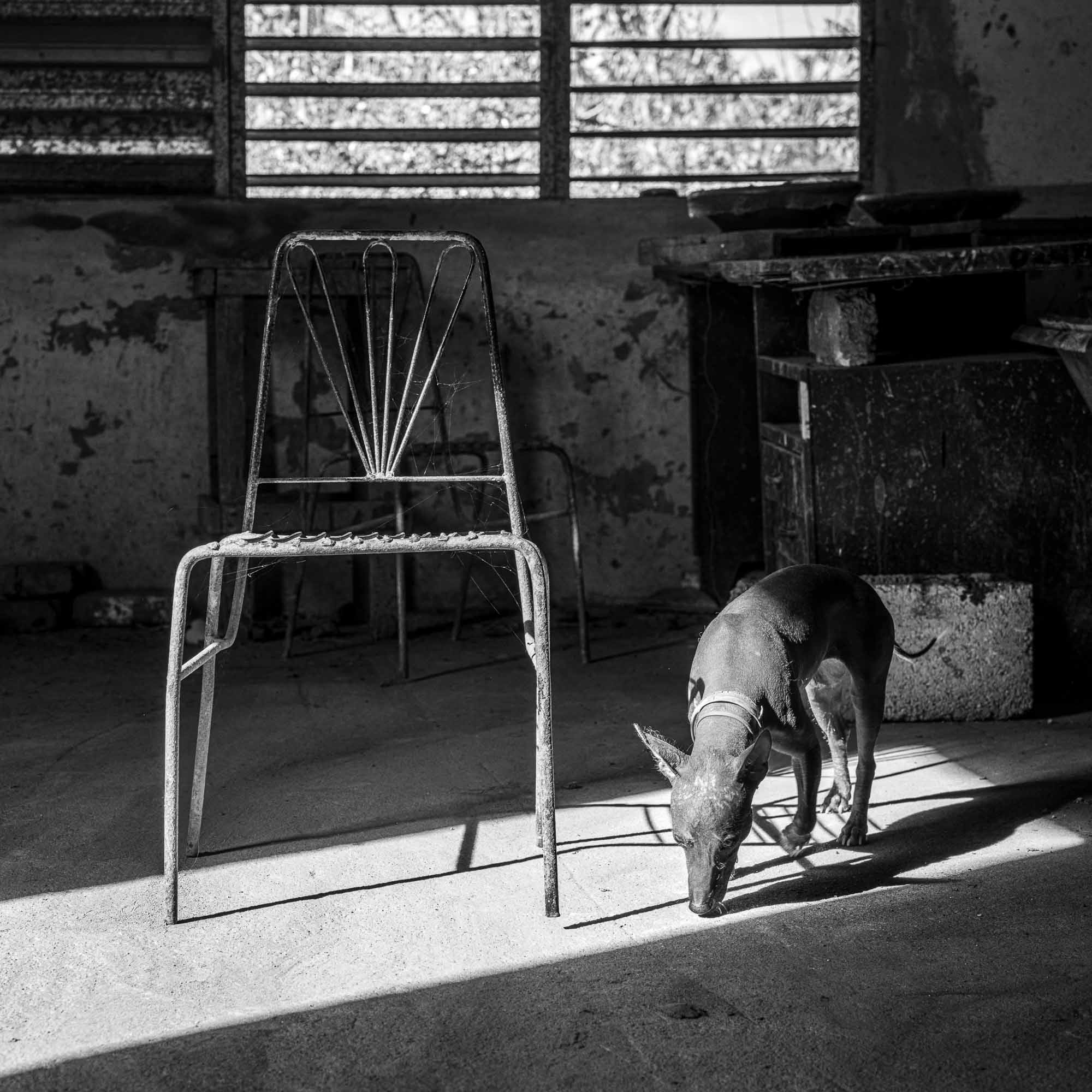 Square IV - Decode Gallery