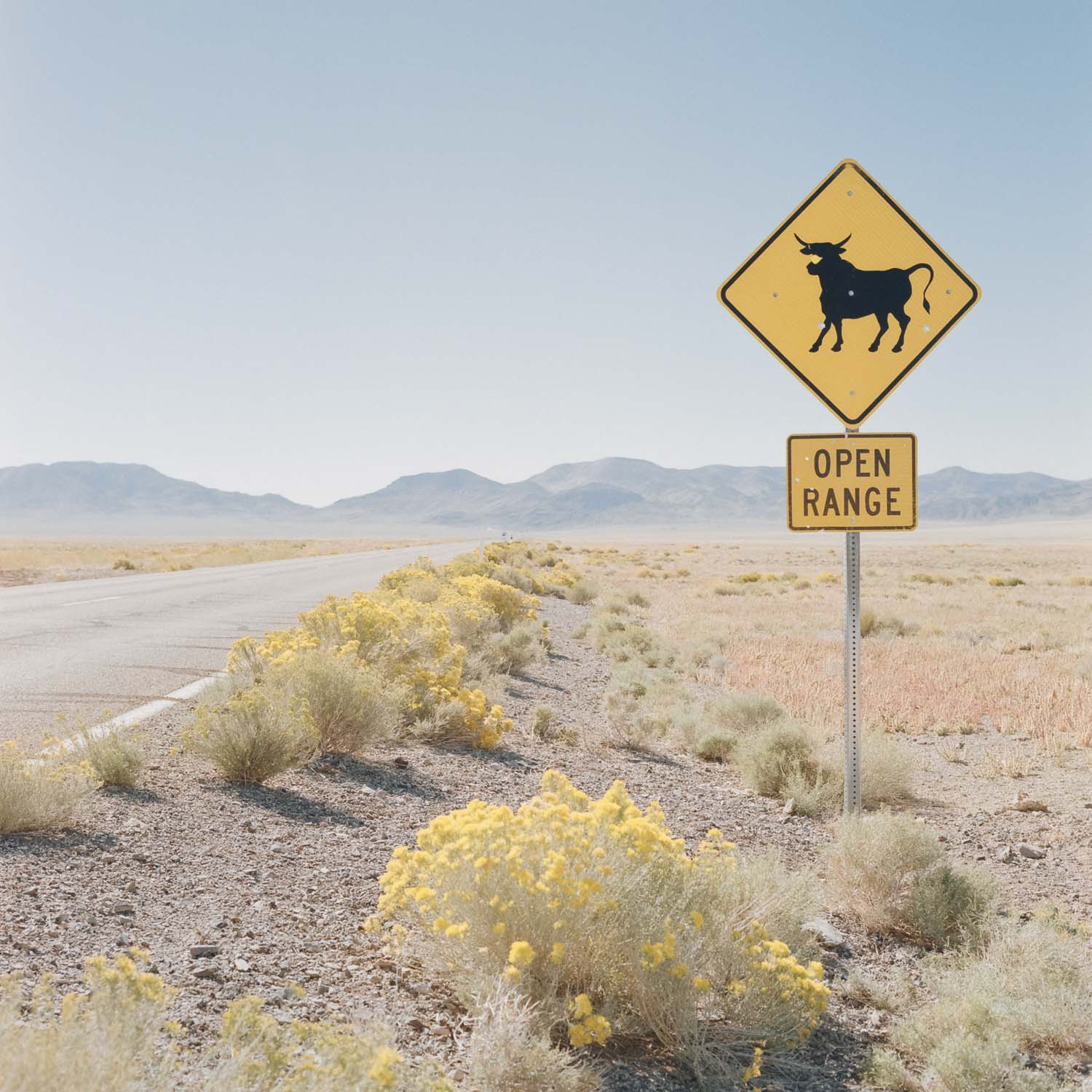 Color - Decode Gallery