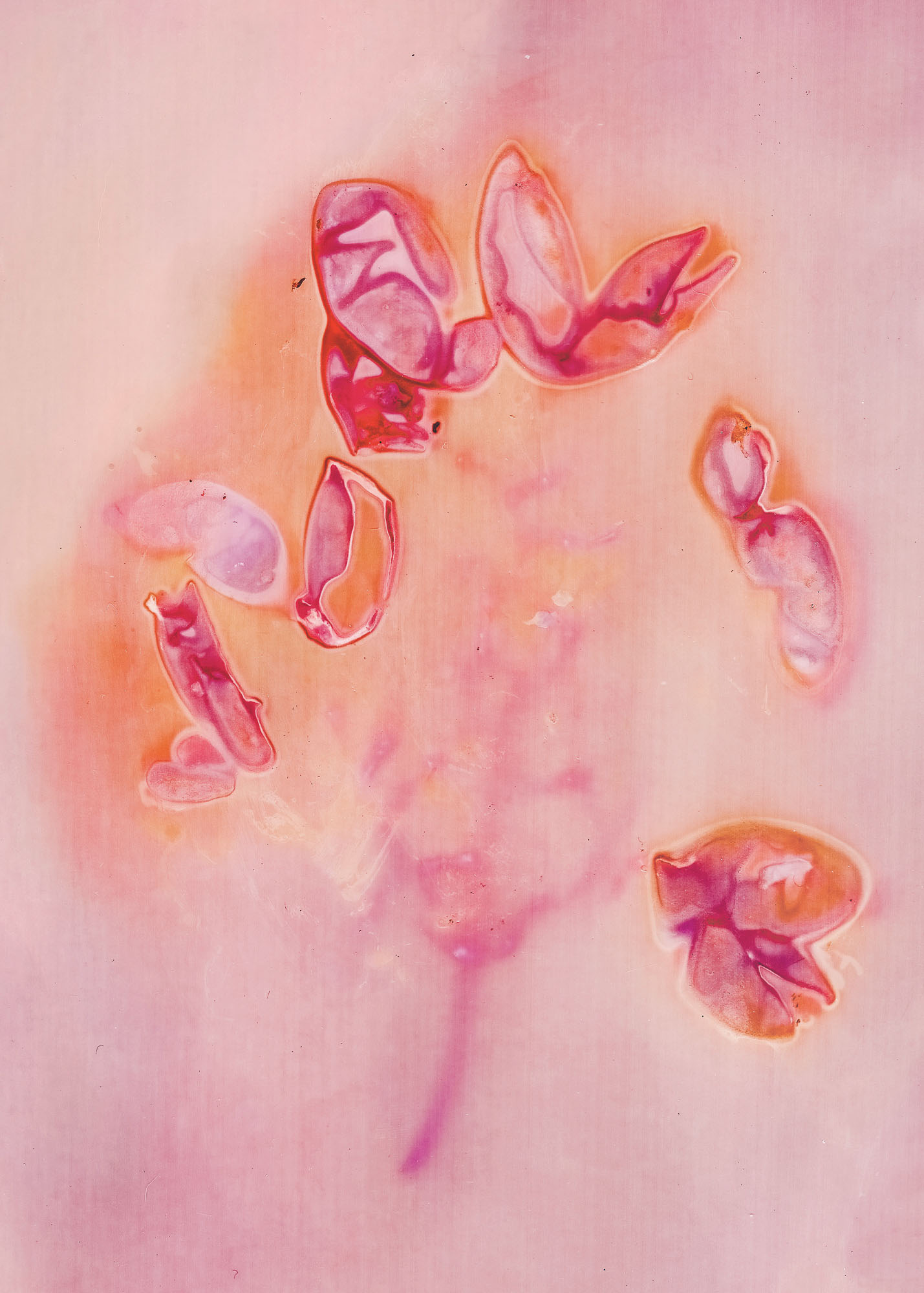 Color - Decode Gallery