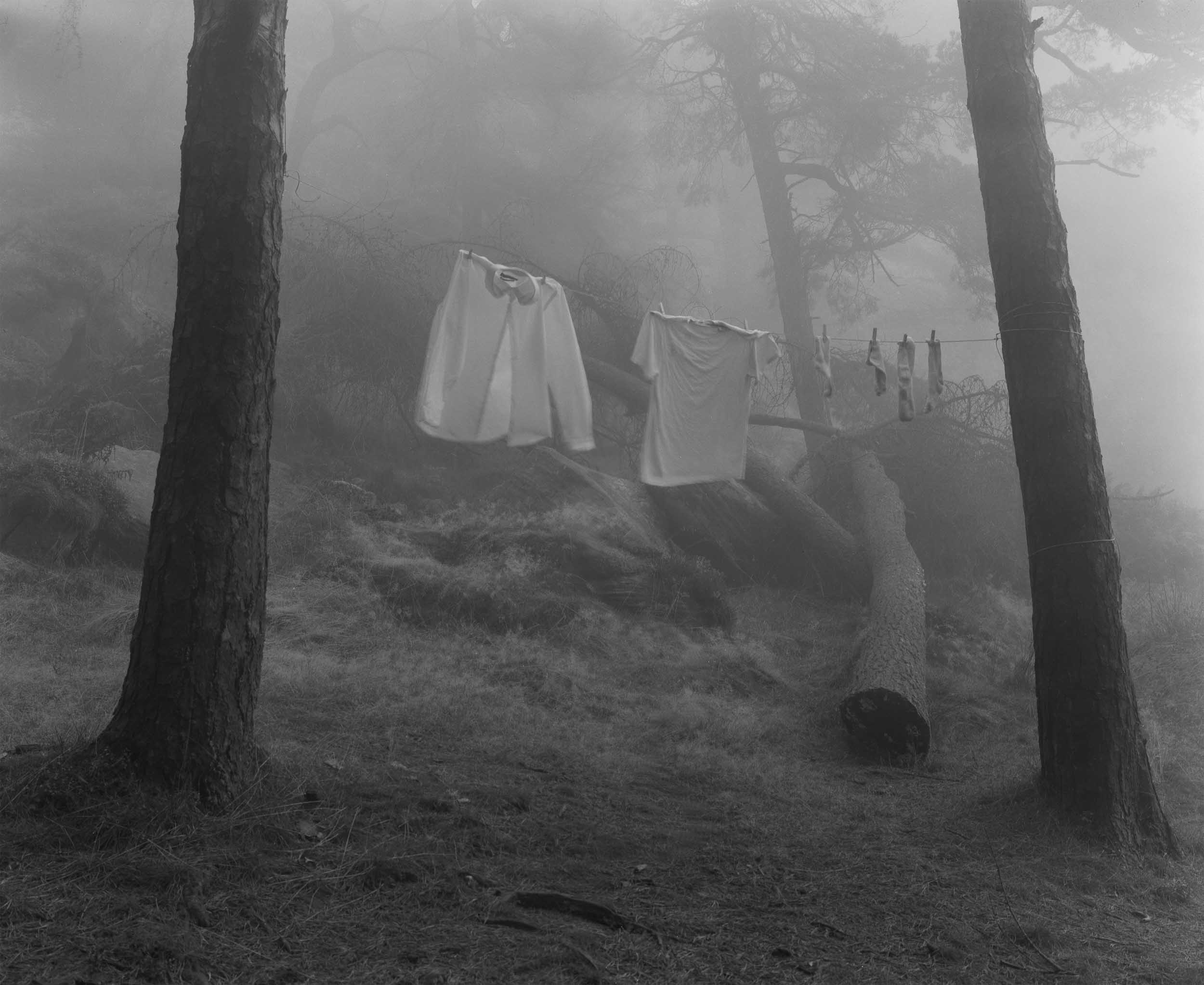 Black and White - Decode Gallery