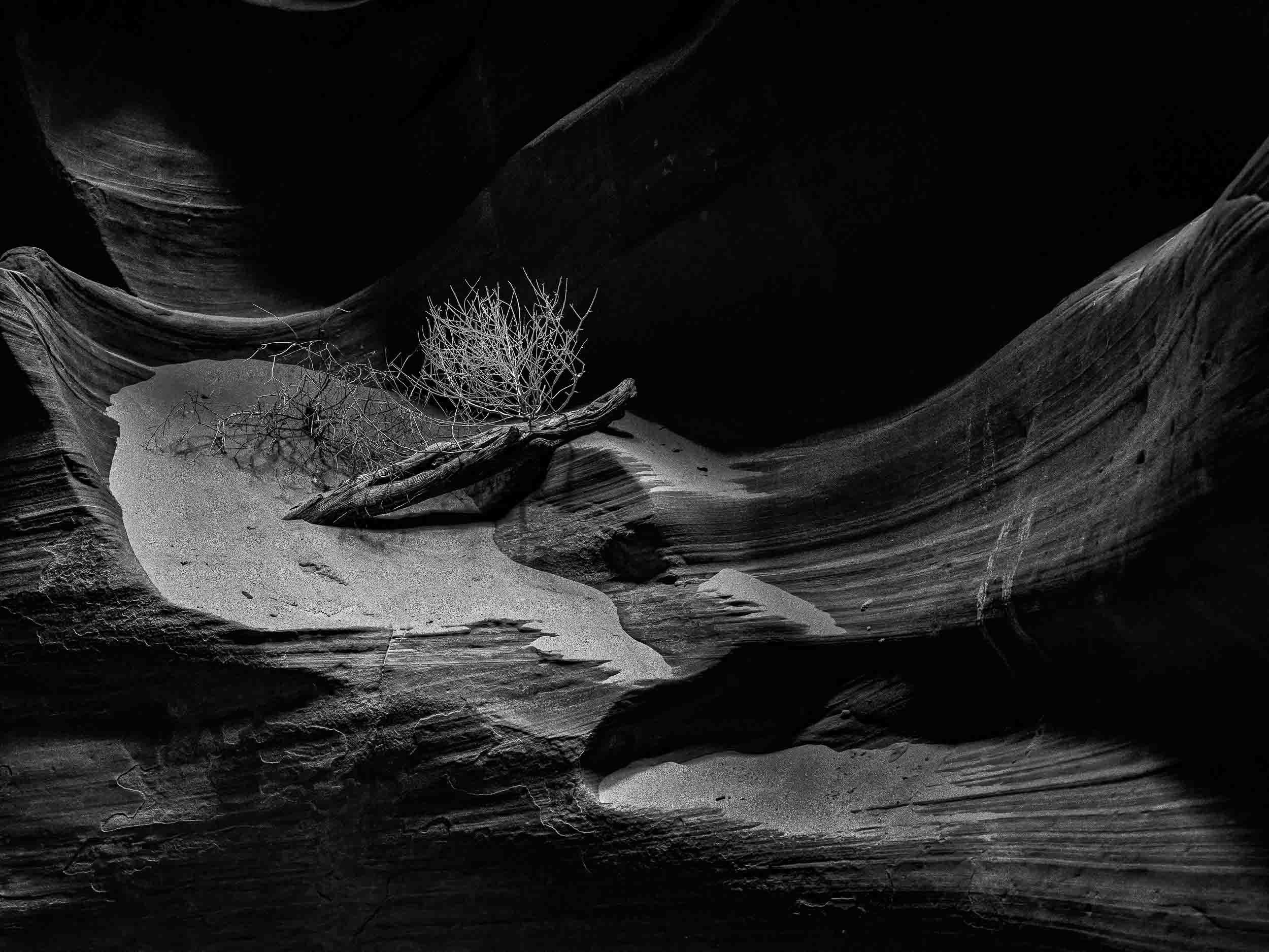 Black and White - Decode Gallery