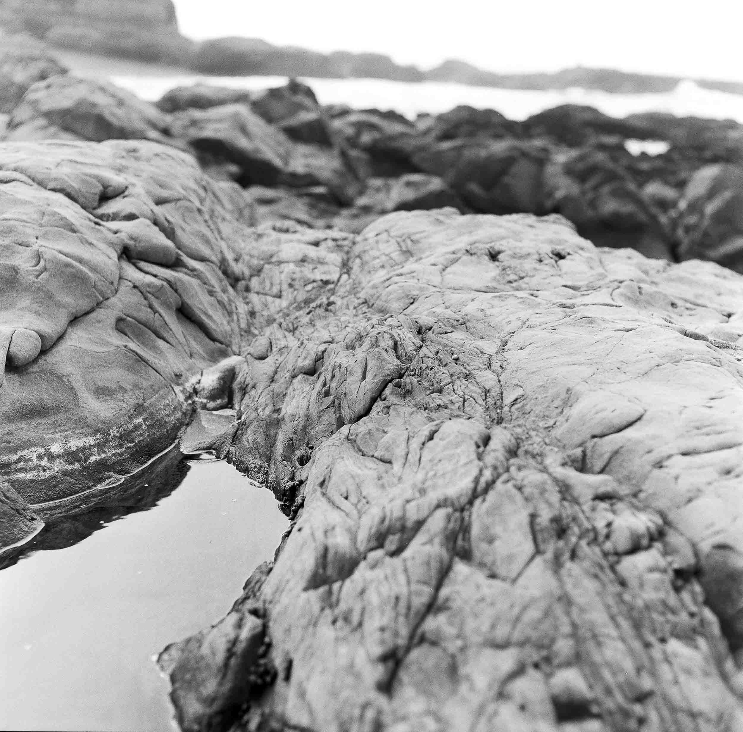 Black and White - Decode Gallery