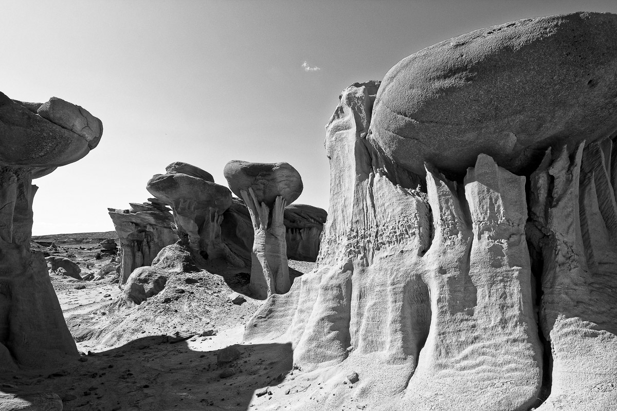 Black and White - Decode Gallery