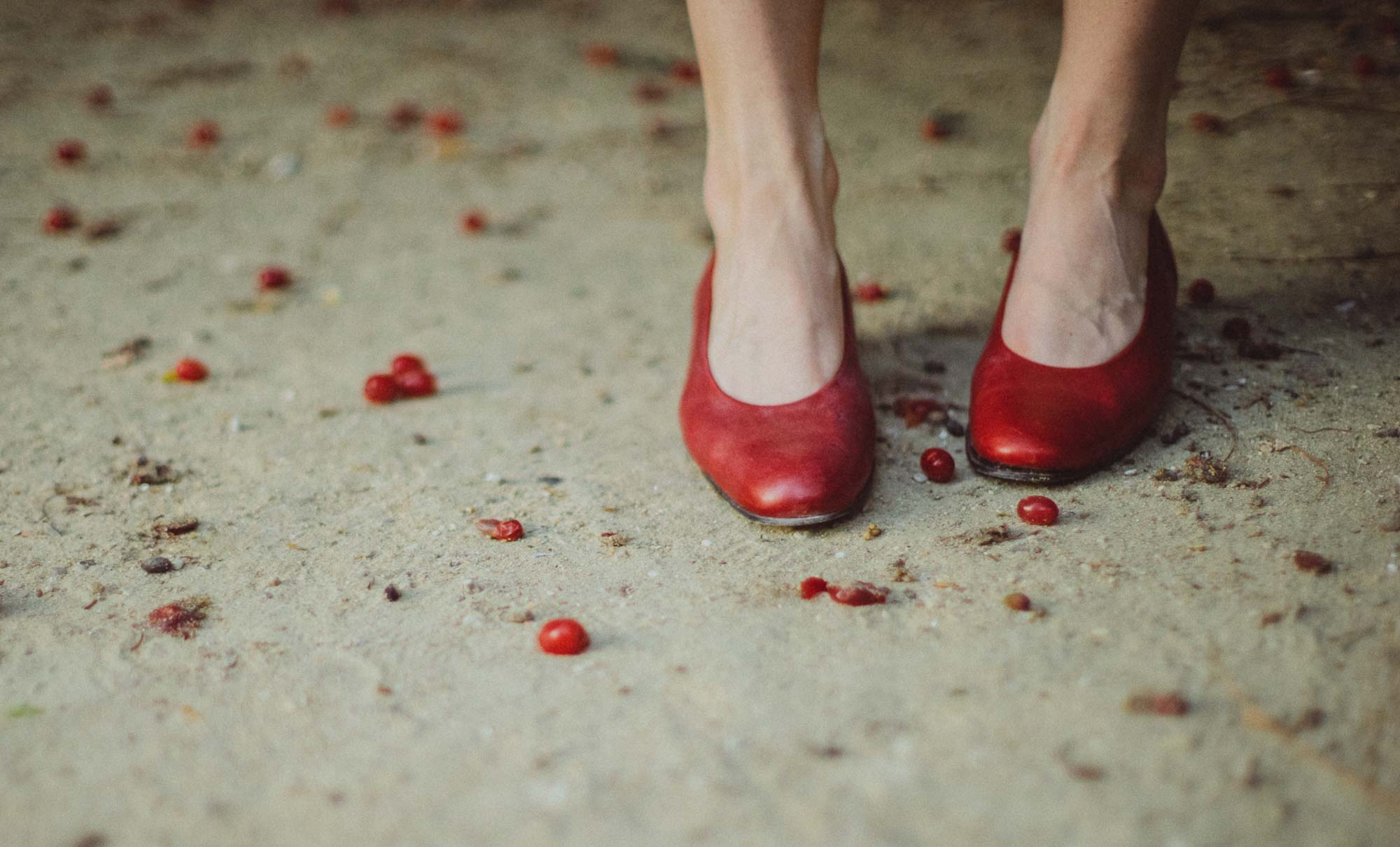 RED - Decode Gallery